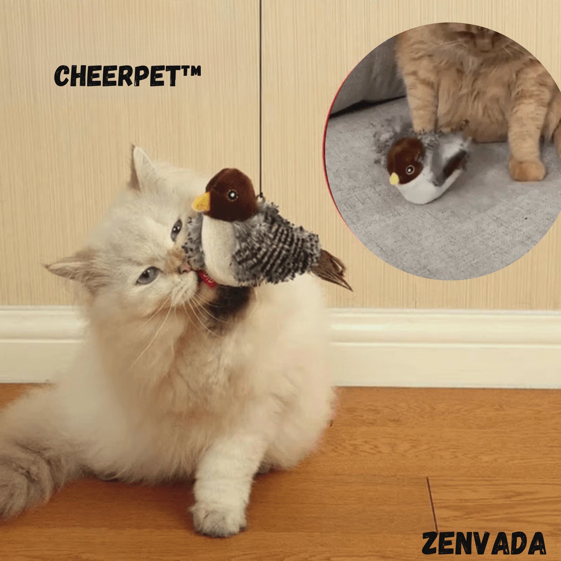 50% RABATT | CheerPet® | Interaktives Katzenspielzeug mit Feder – Zenvada